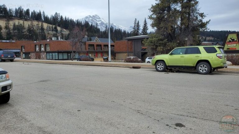 Guide to Downhill Ski in Marmot Jasper (updated 2025)