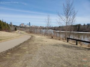 Discover River Valley and Surrounding Trails in Edmonton
