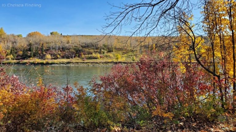 Discover River Valley and Surrounding Trails in Edmonton